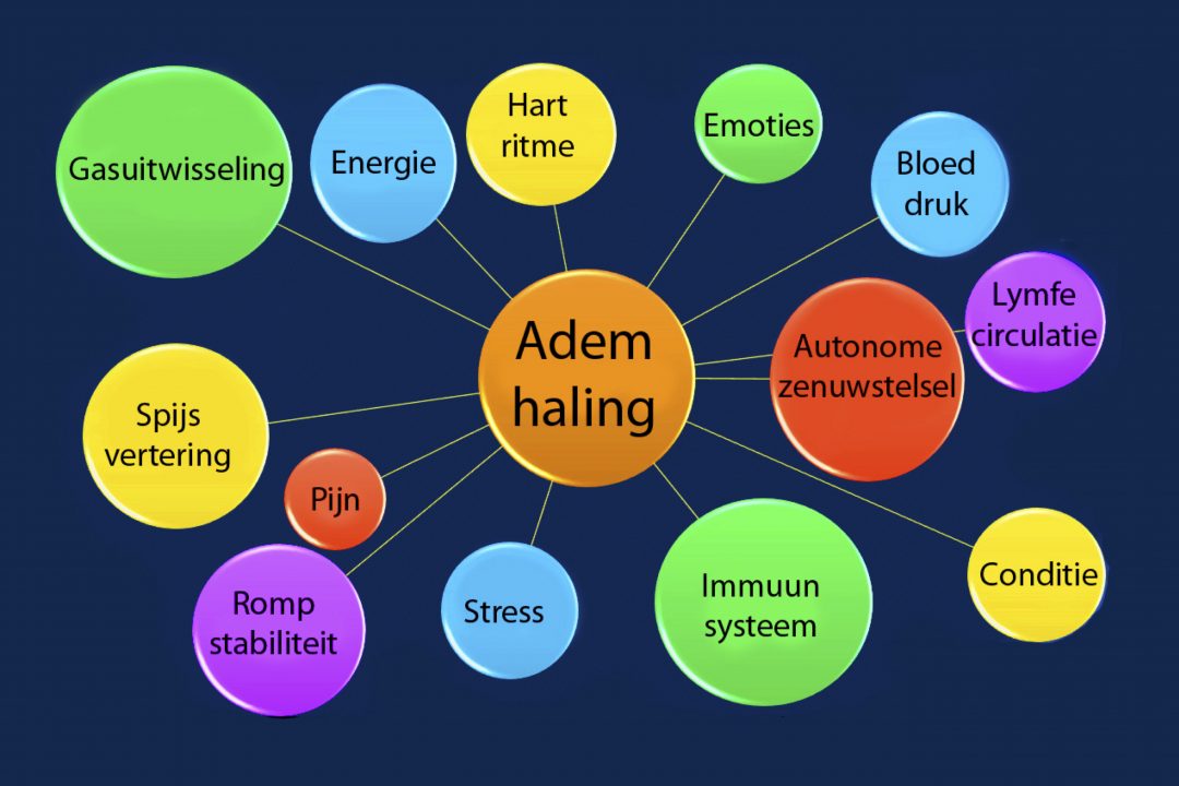 Buteyko Ademhalingstraining - Mindful Touch